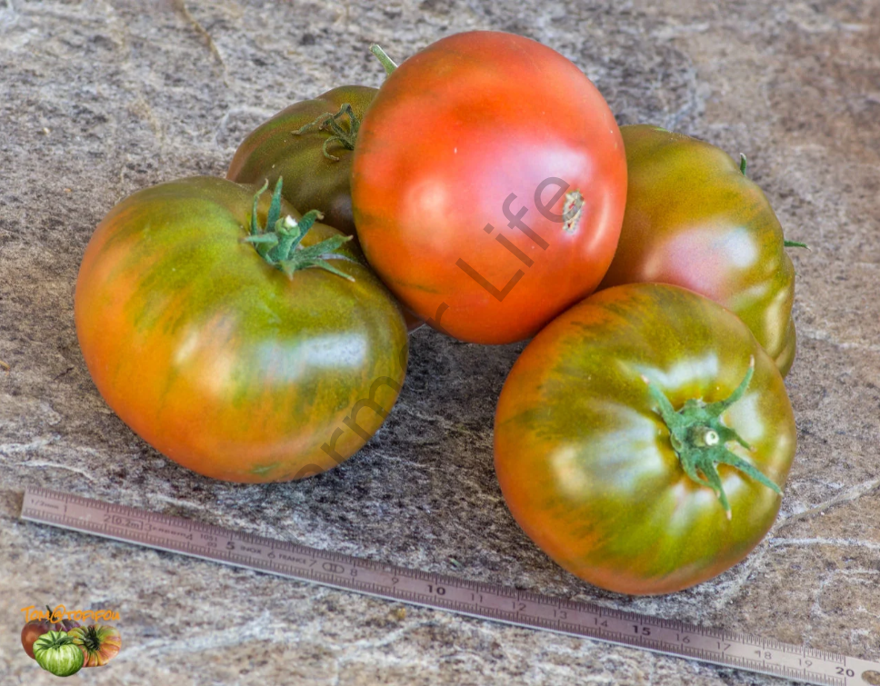 Sputnik Beef Domates Tohumu (10 Tohum) - Farmer Life