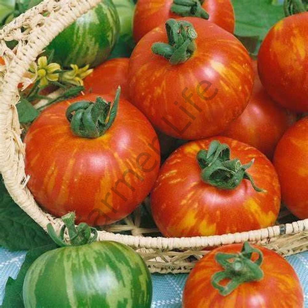 Tigerella Domates Tohumu (10 Tohum) - Farmer Life